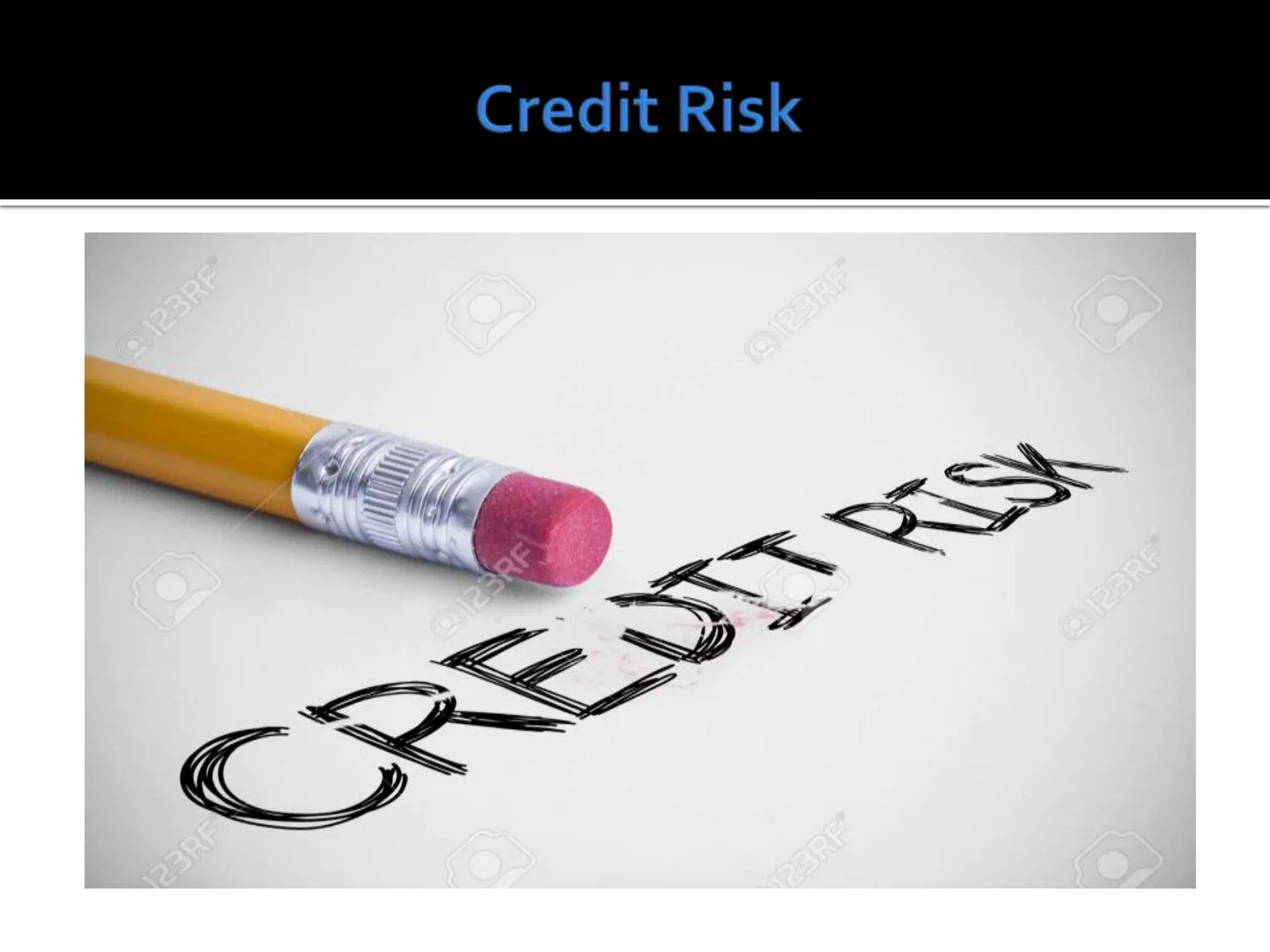 Credit risk management presentation | PPTX