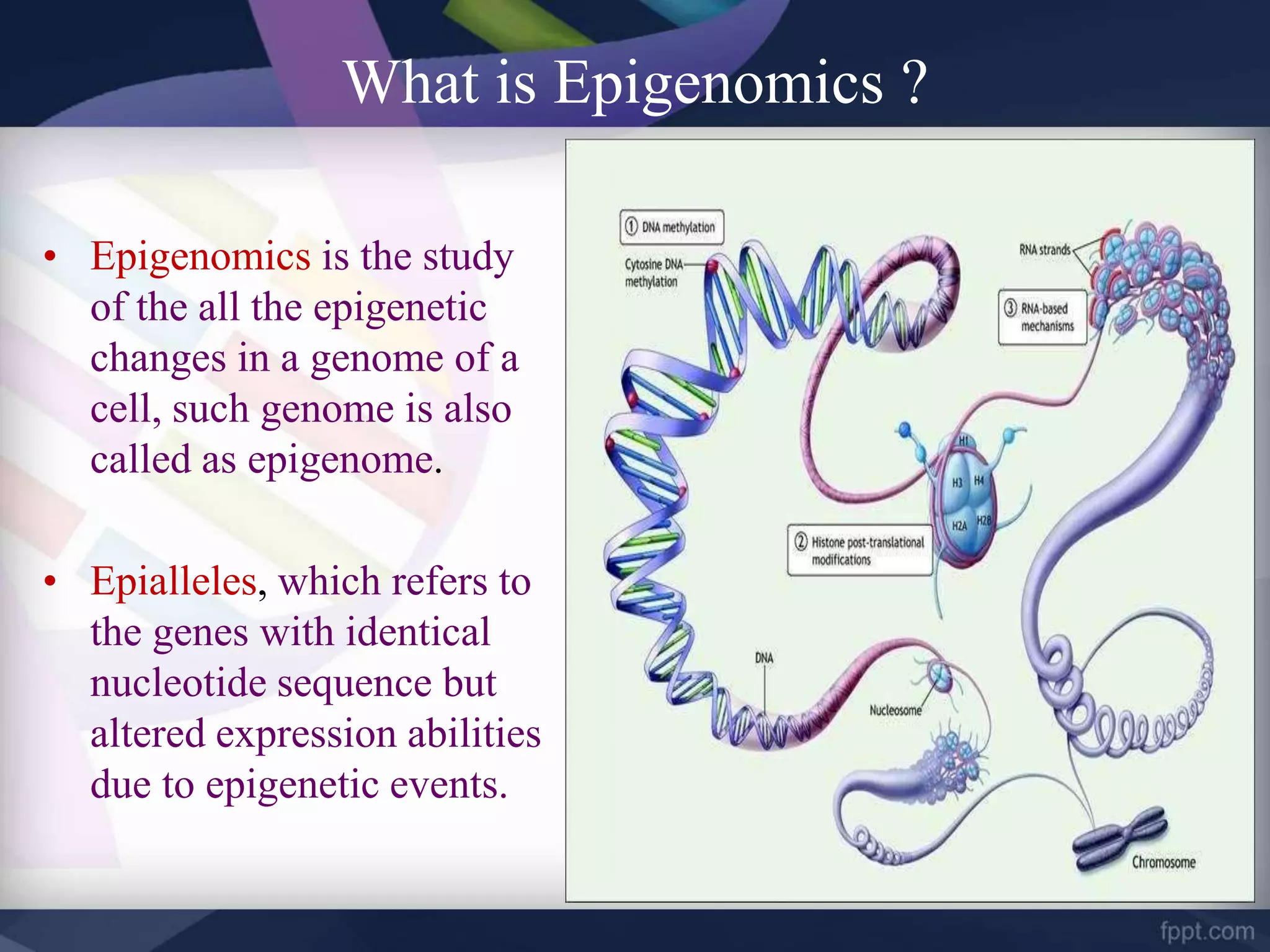 epigenomics for crop improvement | PPT | Biotech and Biomedical ...