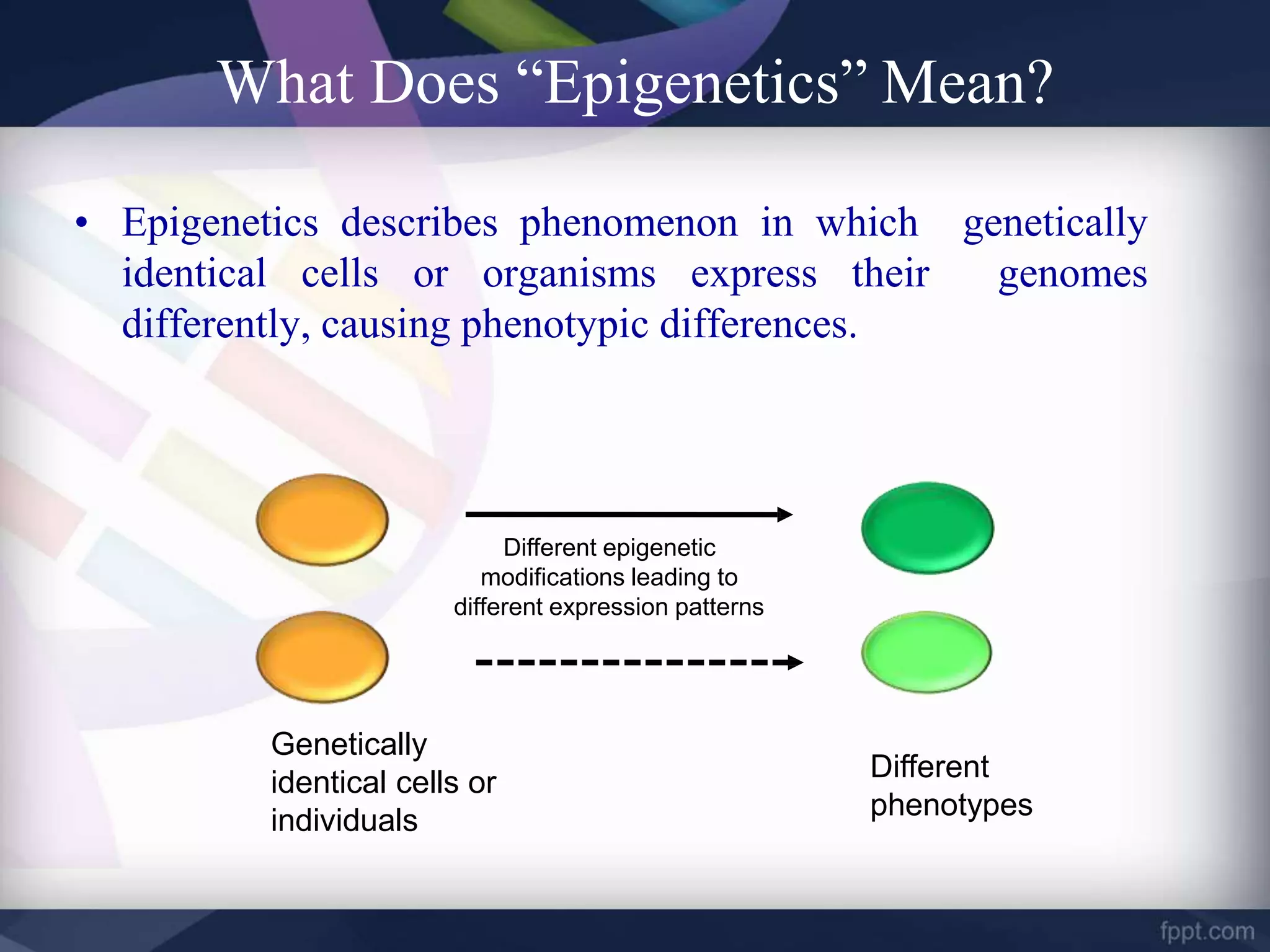 epigenomics for crop improvement | PPT