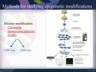epigenomics for crop improvement | PPT