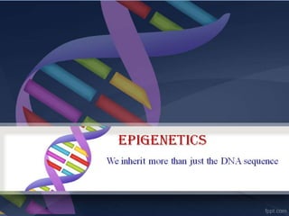 epigenomics for crop improvement | PPT