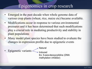 epigenomics for crop improvement | PPT | Biotech and Biomedical ...