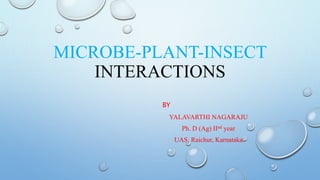 microbe insect plant interactions | PPTX