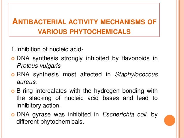 Antibacterial activity of Isolated Phytochemicals