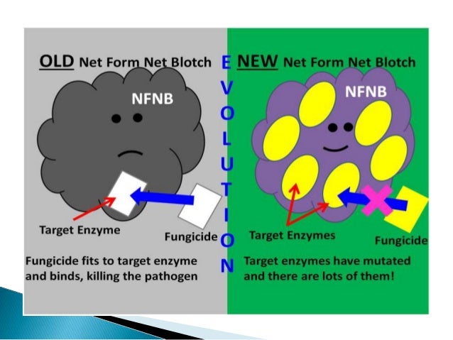 Fungicide Resistance