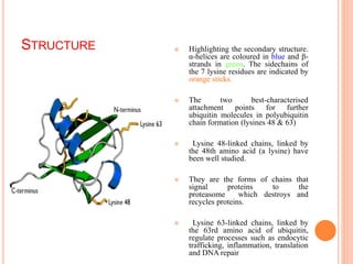 Ubiquitin & Proteasome: Role in Transcription Regulation | PPTX