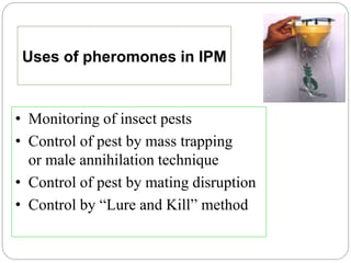 Topic Insect Pheromones, their role in communication and pest ...
