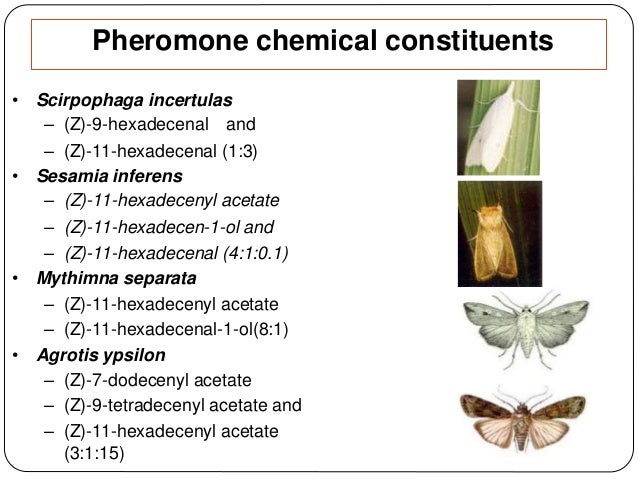 Topic Insect Pheromones, their role in communication and pest manage…