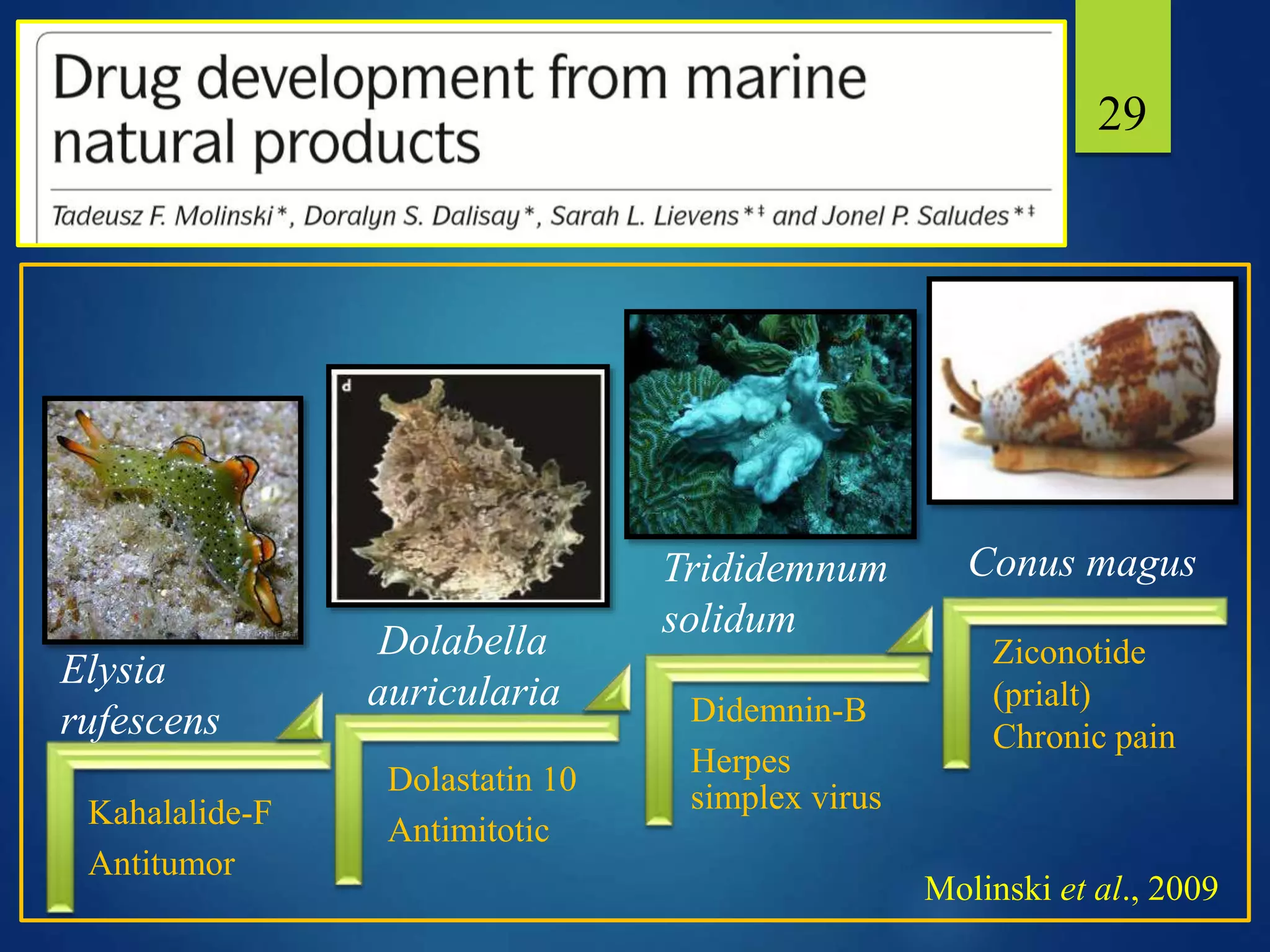 Blue Biotechnology | PPTX