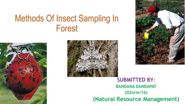 methods of insect sampling in forest | PPTX