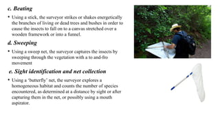 methods of insect sampling in forest | PPTX