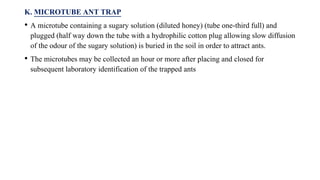 methods of insect sampling in forest | PPTX