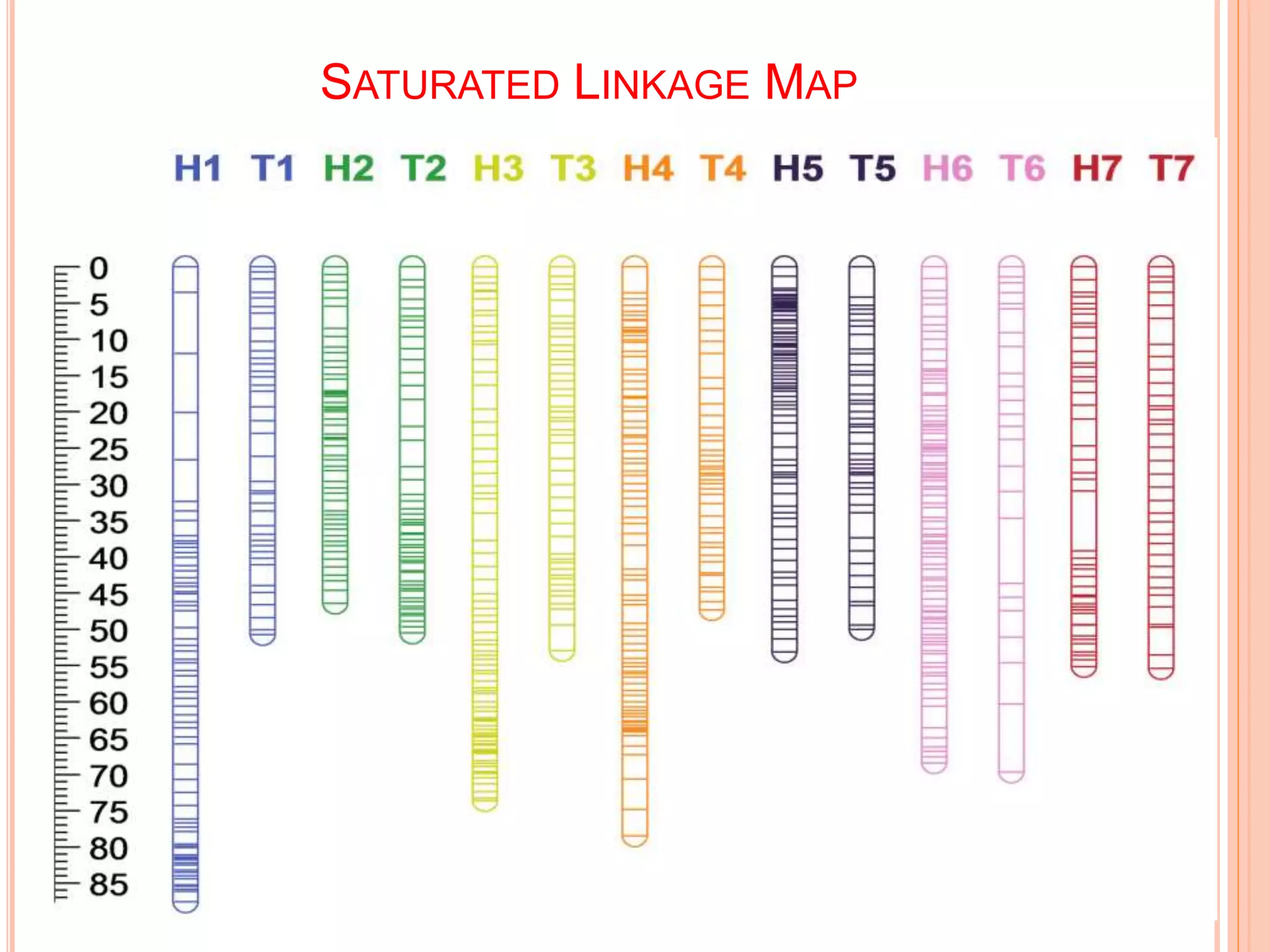 genome wide linkage mapping | PPT