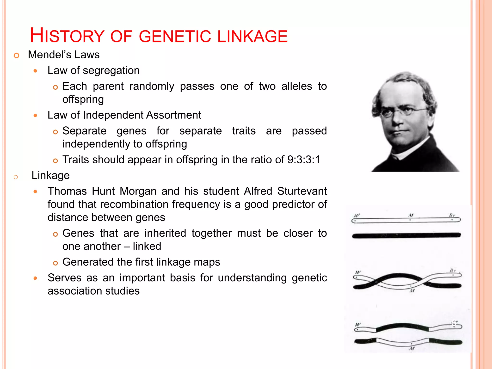 genome wide linkage mapping | PPT