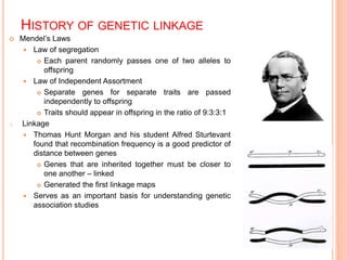 genome wide linkage mapping | PPT
