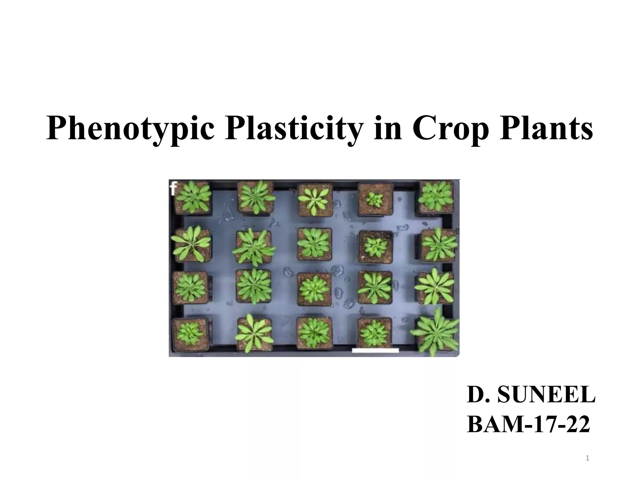 PHENOTYPIC PLASTICITY IN CROP PLANTS | PPTX