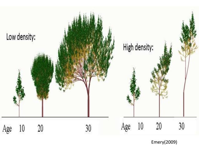 PHENOTYPIC PLASTICITY IN CROP PLANTS | PPTX