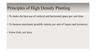 Credit seminar | PPTX