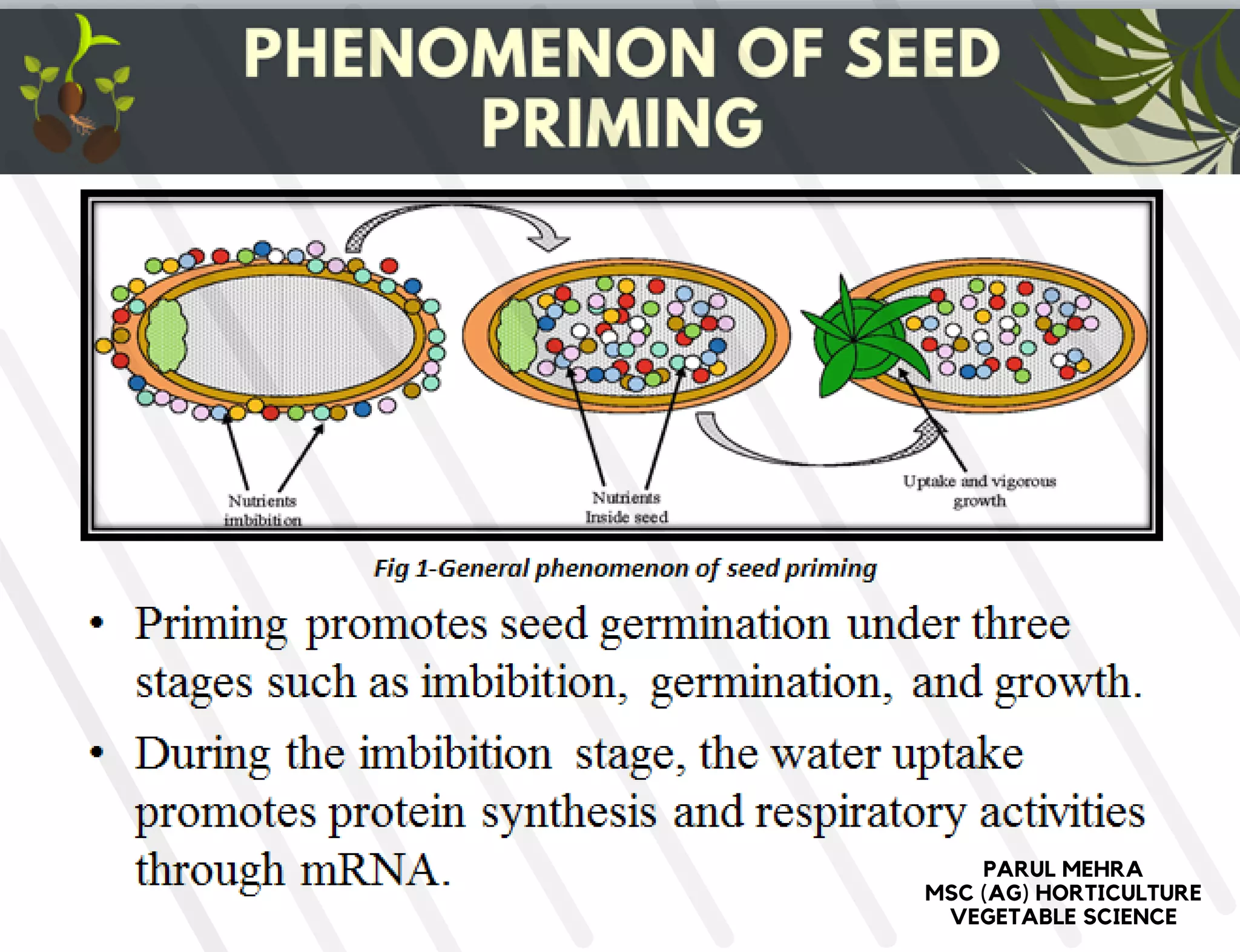 Advances in Seed priming | PDF