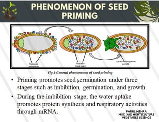 Advances in Seed priming | PDF
