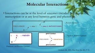 Relevance of epistasis in plant breeding | PPTX