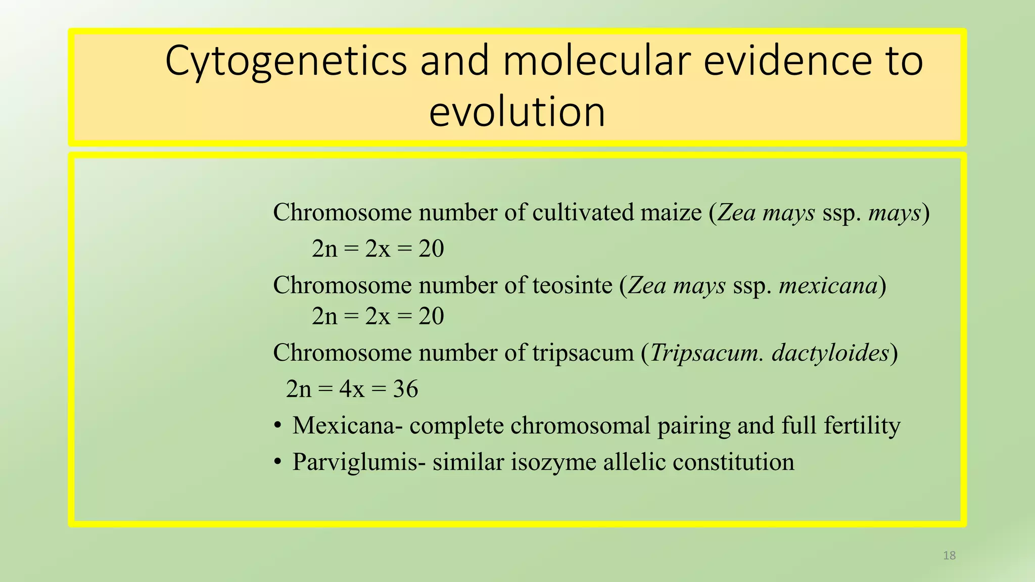 Evolutionary significance of tb1 locus in Maize | PPTX