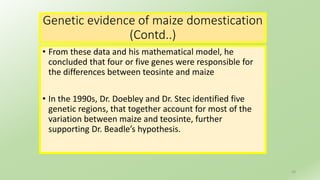 Evolutionary significance of tb1 locus in Maize | PPTX