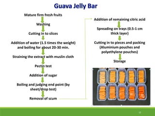 Processing of Guava For Value Addition | PPTX