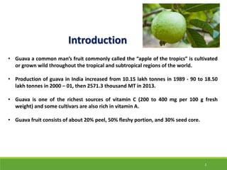 Processing of Guava For Value Addition | PPTX