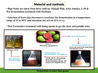 Processing of Guava For Value Addition | PPTX