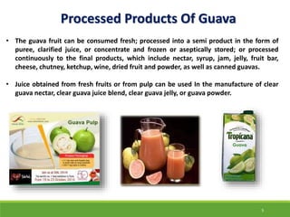 Processing of Guava For Value Addition | PPTX