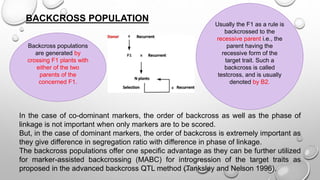 MAPPING POPULATIONS | PPTX
