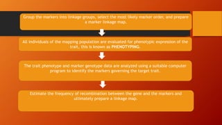 MAPPING POPULATIONS | PPTX
