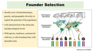 MAGIC population in Vegetables | PPT
