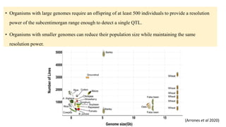 MAGIC population in Vegetables | PPT