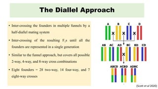 MAGIC population in Vegetables | PPT