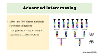 MAGIC population in Vegetables | PPT