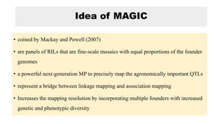 MAGIC population in Vegetables | PPT