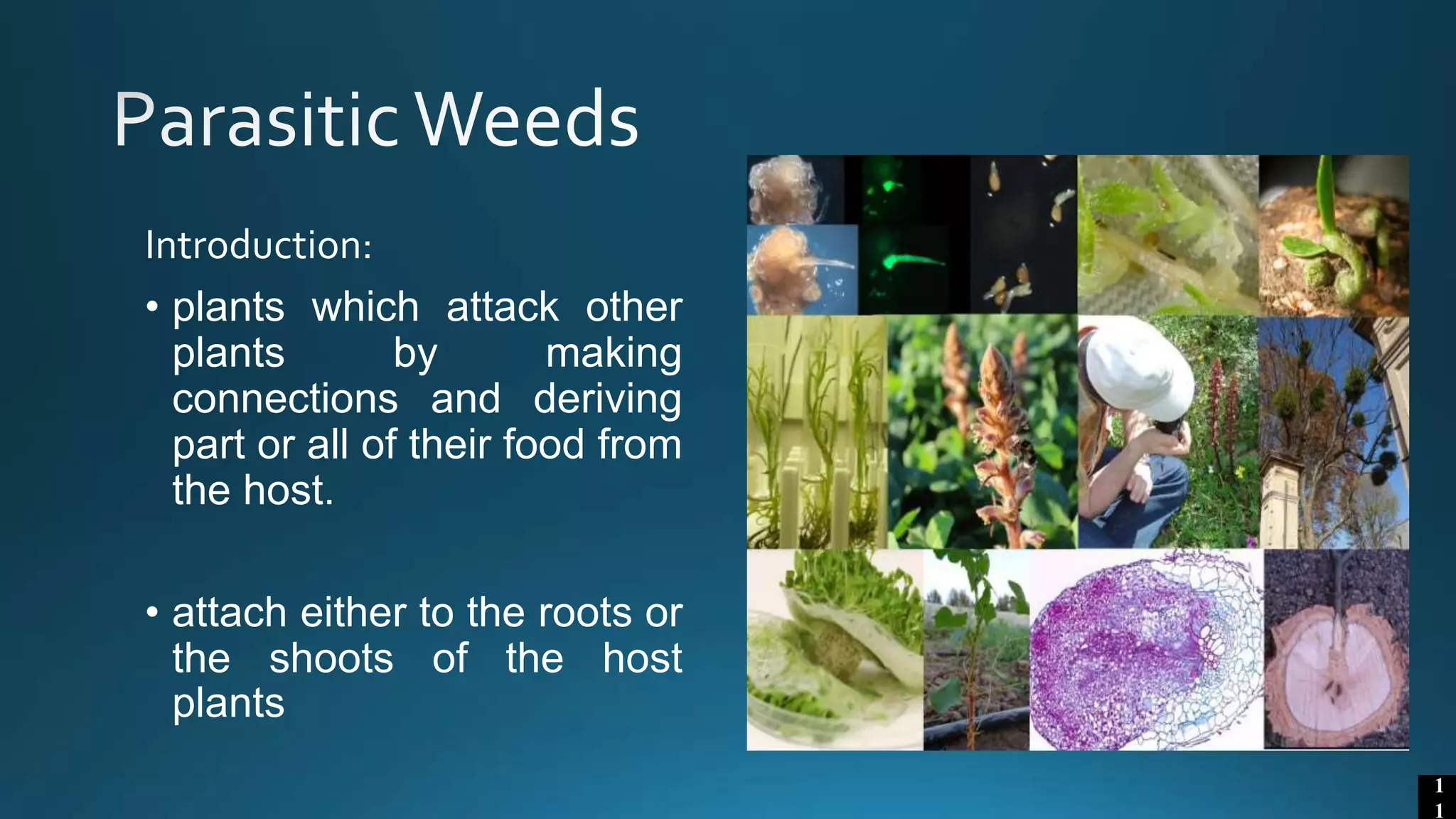 Management of Parasitic and Aquatic weeds | PPTX