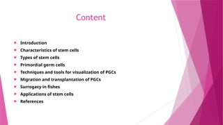 Stem cell with primary focus on PGCs.pptx