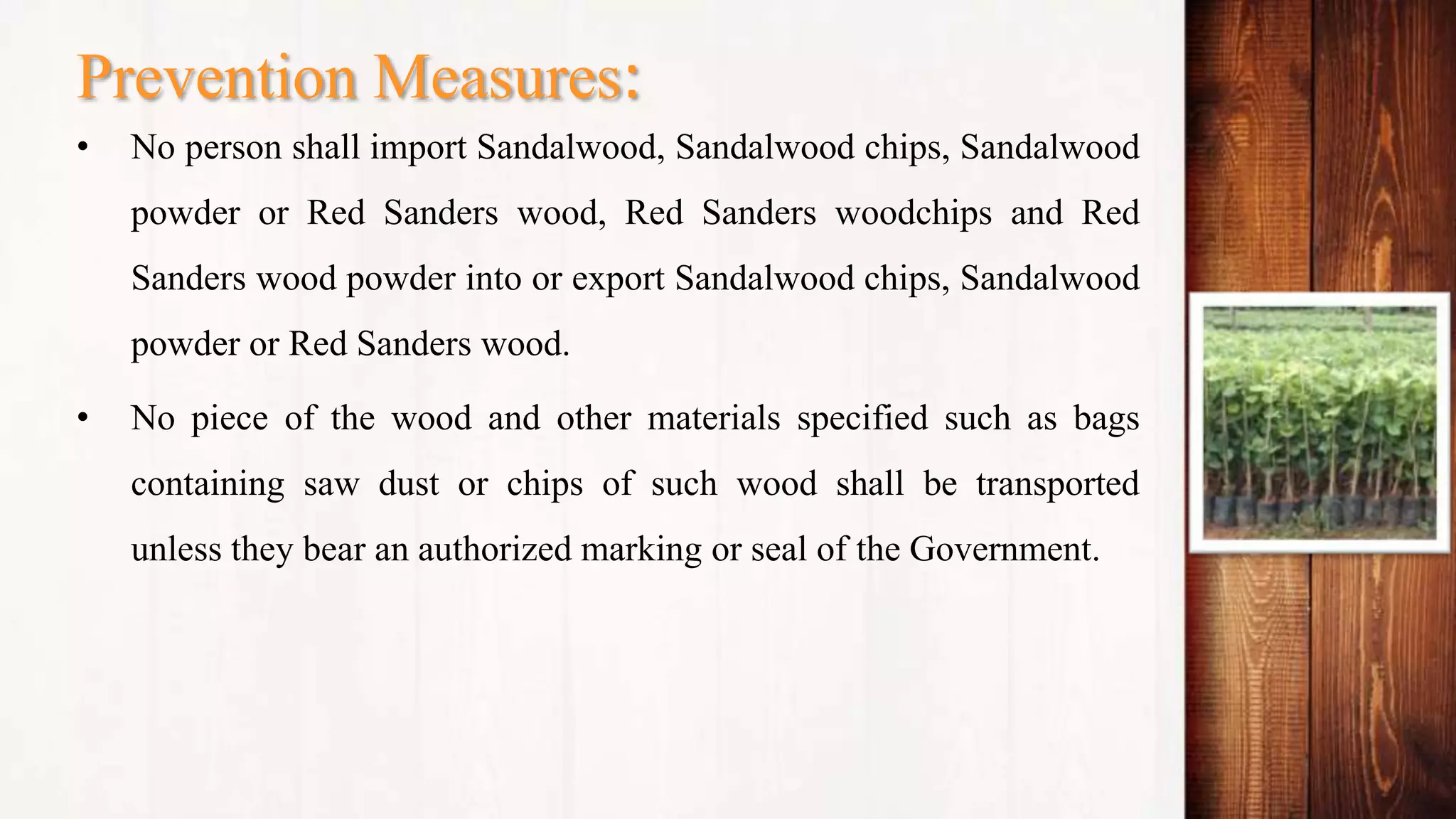 pterocarpus santalinus (RED SANDERS) THE ENDANGERED TREE | PPTX