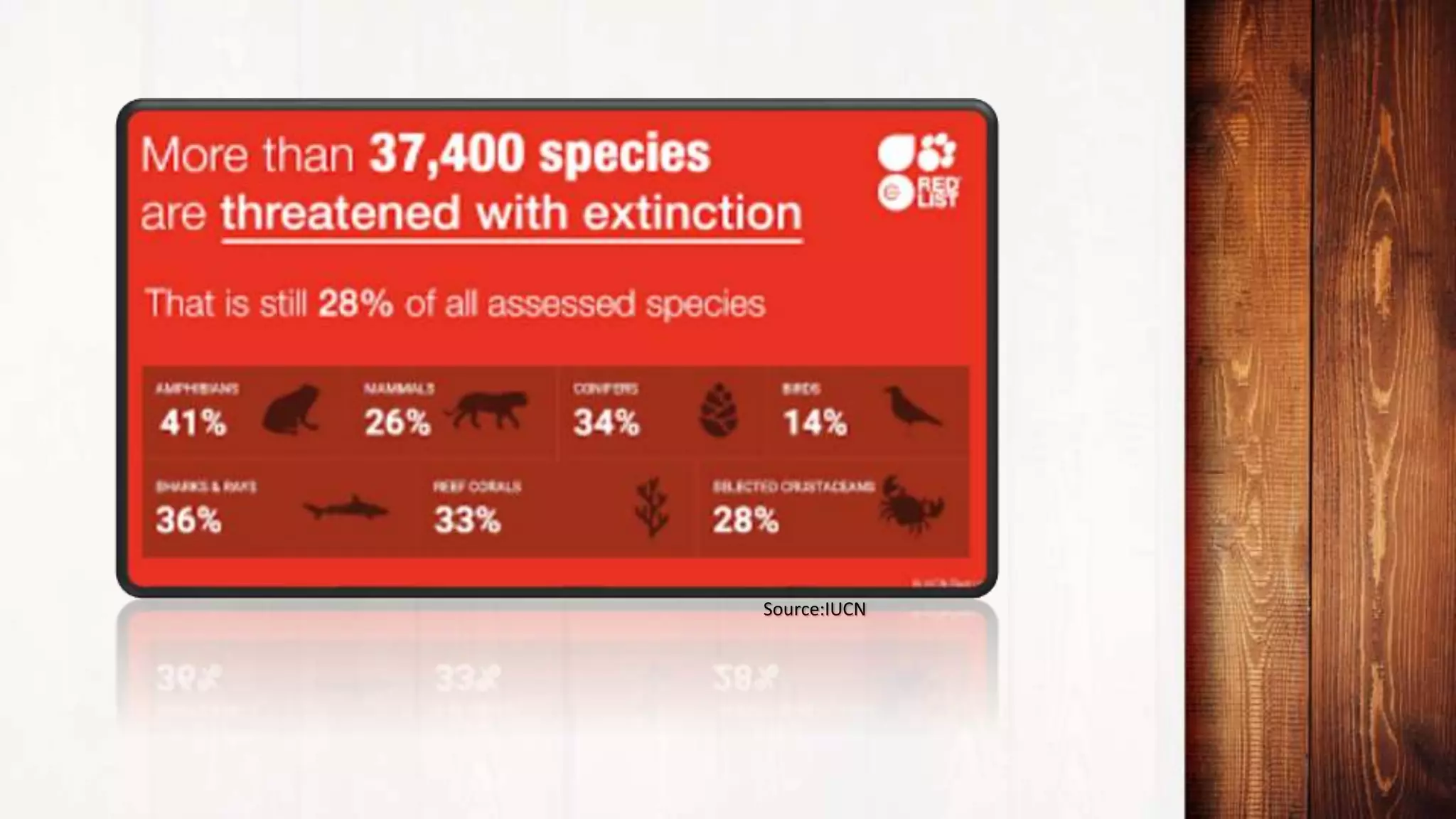 pterocarpus santalinus (RED SANDERS) THE ENDANGERED TREE | PPTX