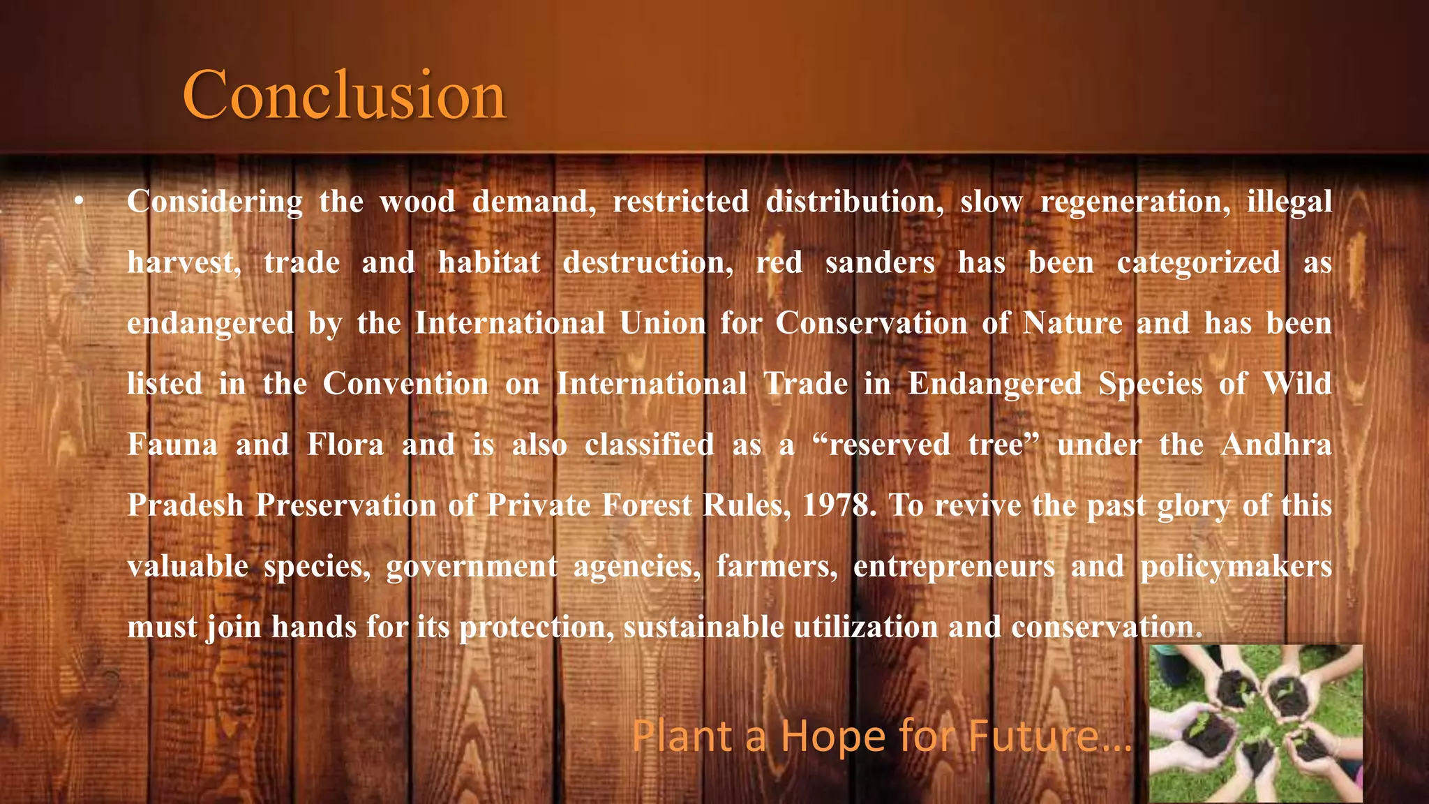 pterocarpus santalinus (RED SANDERS) THE ENDANGERED TREE | PPTX