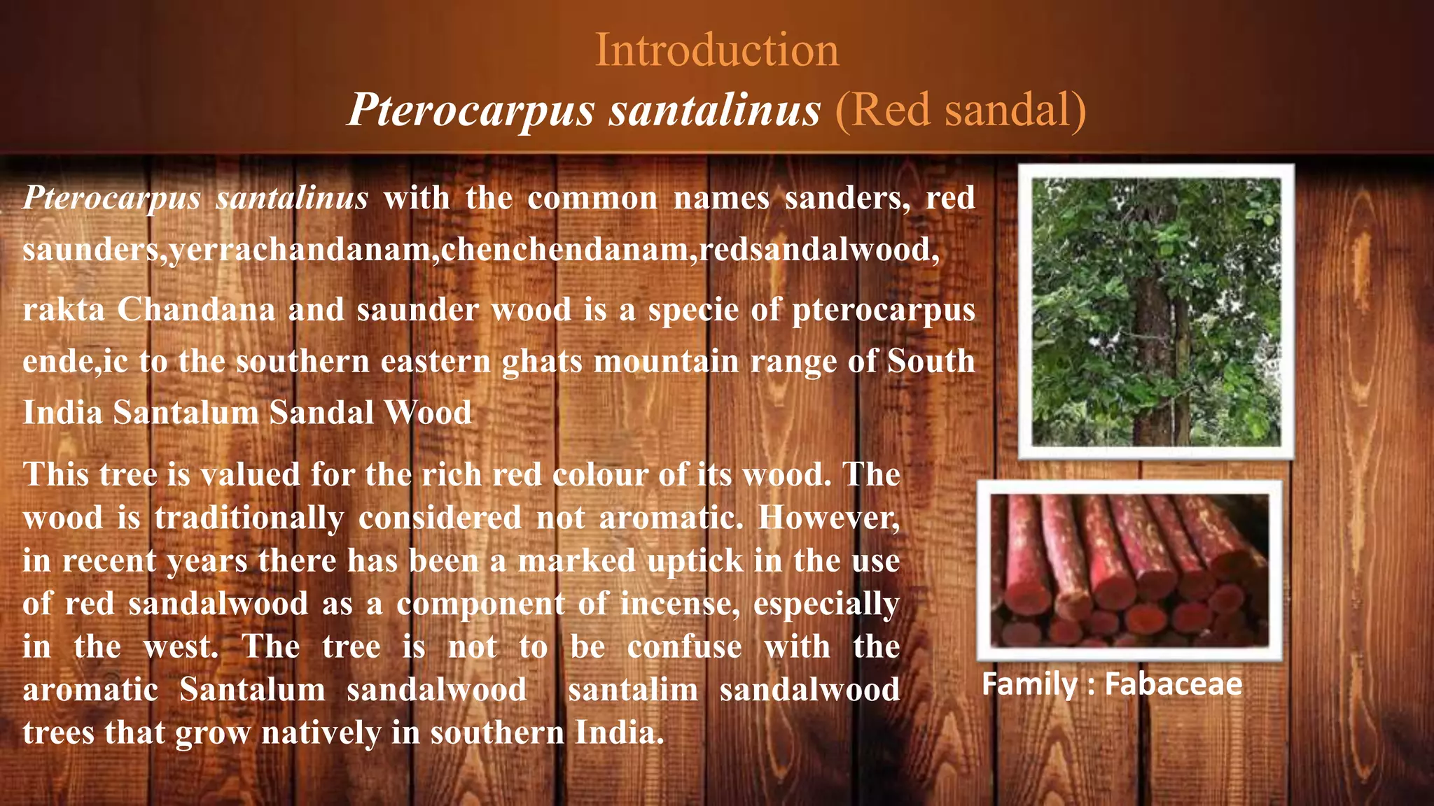 pterocarpus santalinus (RED SANDERS) THE ENDANGERED TREE | PPTX