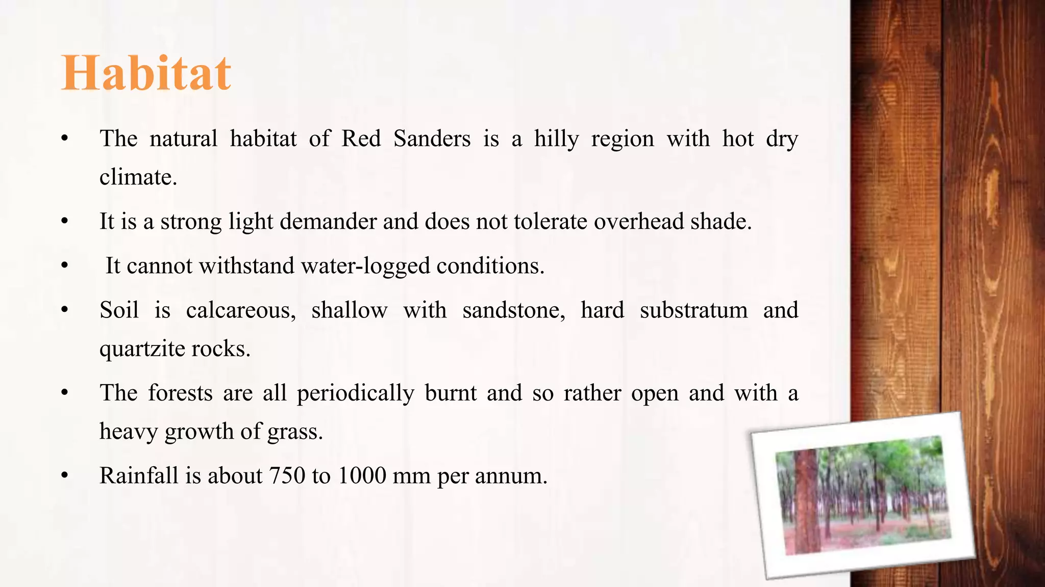 pterocarpus santalinus (RED SANDERS) THE ENDANGERED TREE | PPTX