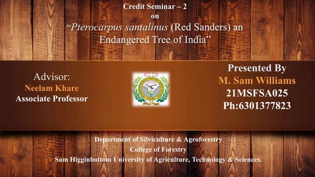 pterocarpus santalinus (RED SANDERS) THE ENDANGERED TREE | PPTX