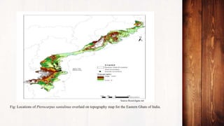 pterocarpus santalinus (RED SANDERS) THE ENDANGERED TREE | PPTX