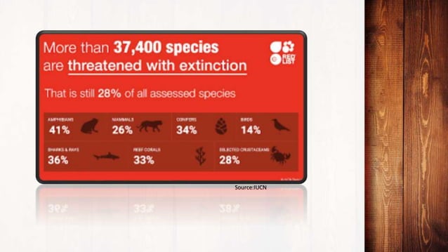 pterocarpus santalinus (RED SANDERS) THE ENDANGERED TREE | PPTX