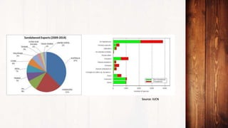 pterocarpus santalinus (RED SANDERS) THE ENDANGERED TREE | PPTX