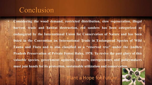 pterocarpus santalinus (RED SANDERS) THE ENDANGERED TREE | PPTX